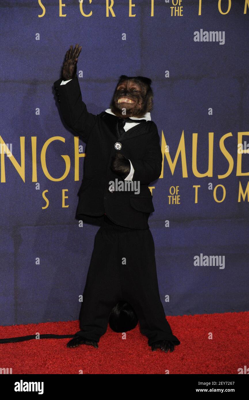 Monkey actor Crystal aka Dexter attends the "Night At The Museum ...