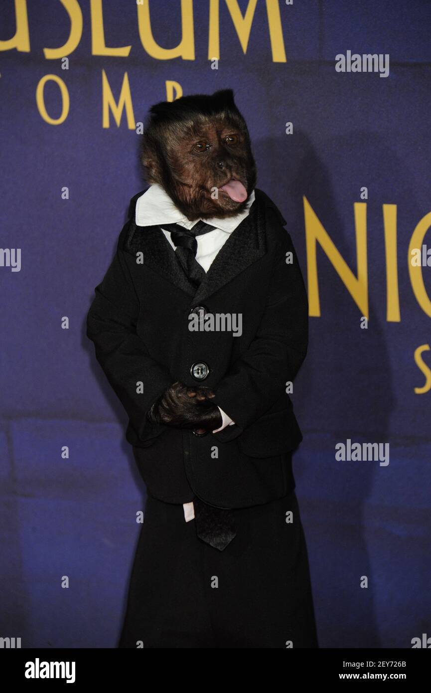 Monkey actor Crystal aka Dexter attends the "Night At The Museum ...