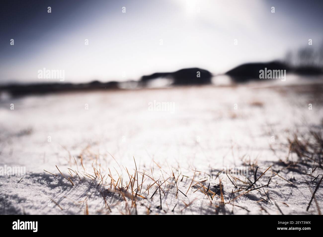 open backyard with dead grass and snow taken from a low angle Stock ...