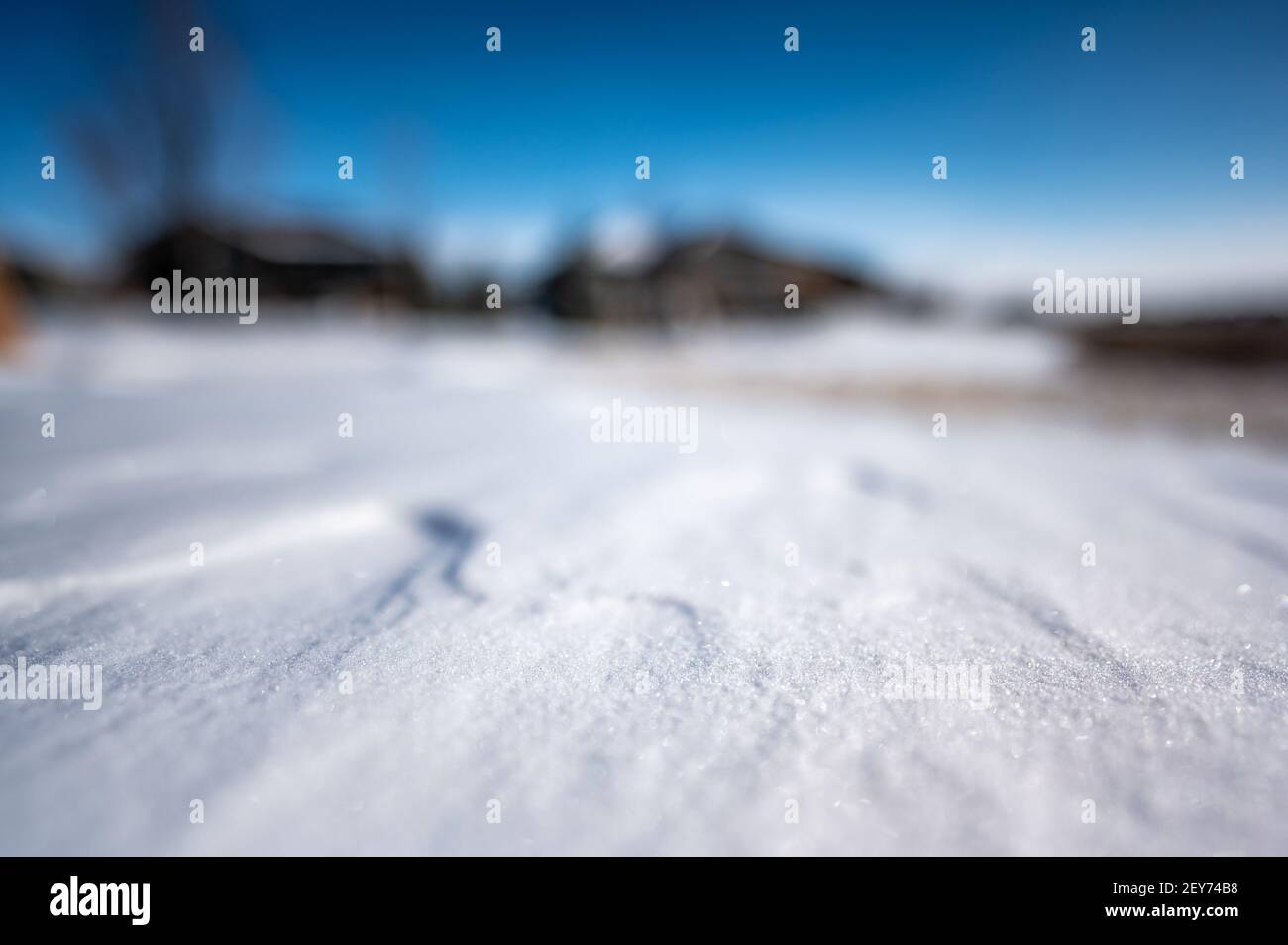 open backyard with dead grass and snow taken from a low angle Stock ...