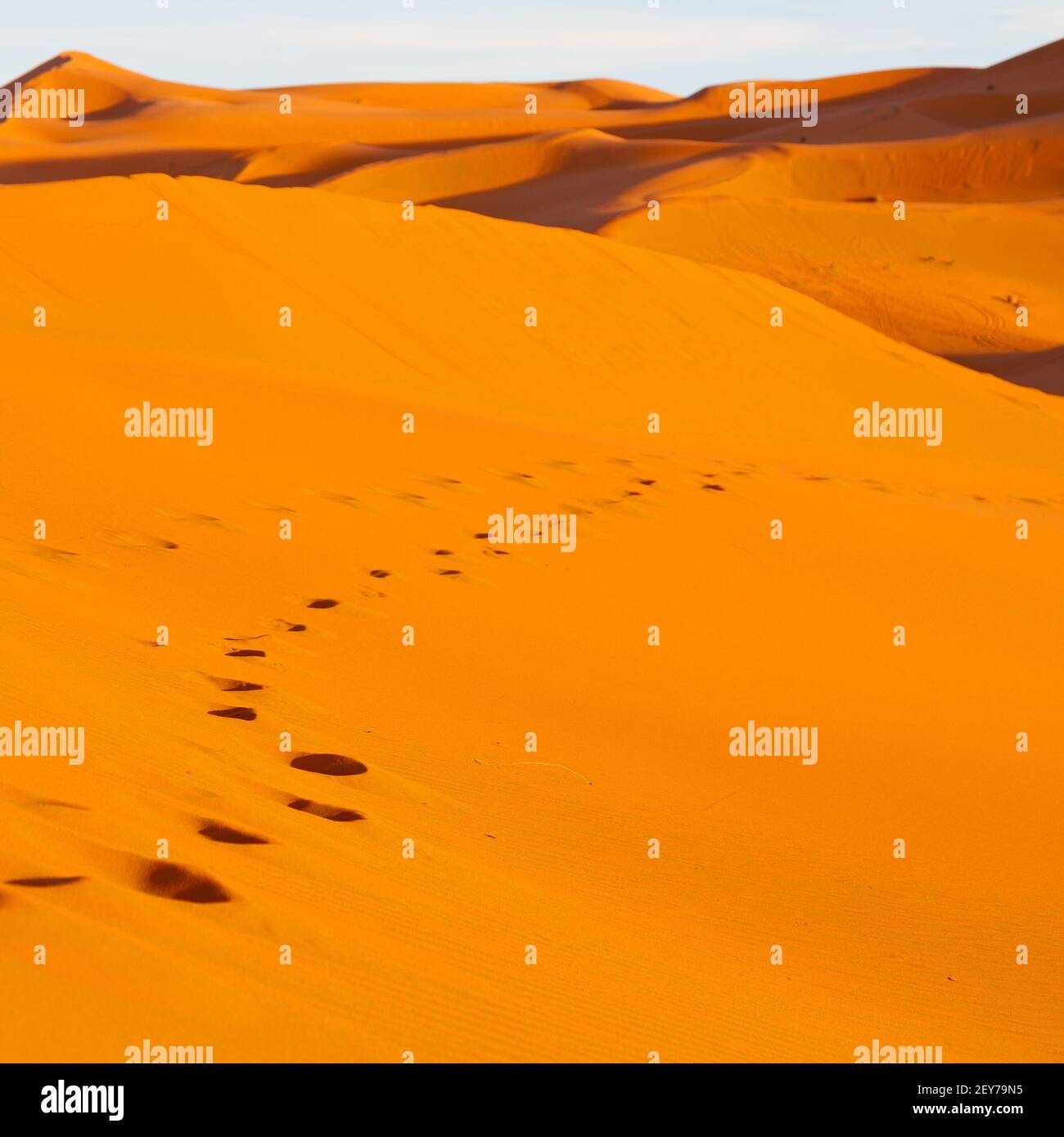 Sunshine in the desert of morocco sand and dune Stock Photo - Alamy