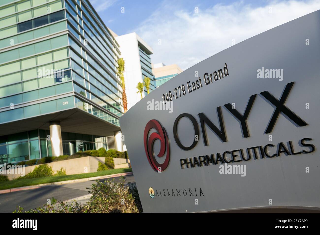 Onyx Pharma Logo