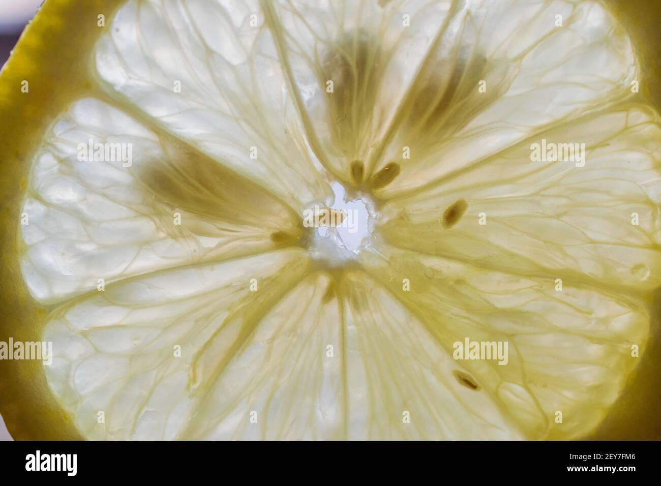 Slice of lemon showing the flesh and fruit seeds Stock Photo - Alamy