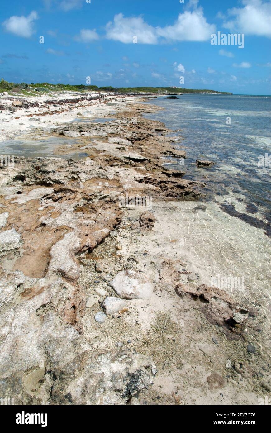 The rocky landscape of Grand Turk island wild beach (Turks and Caicos ...