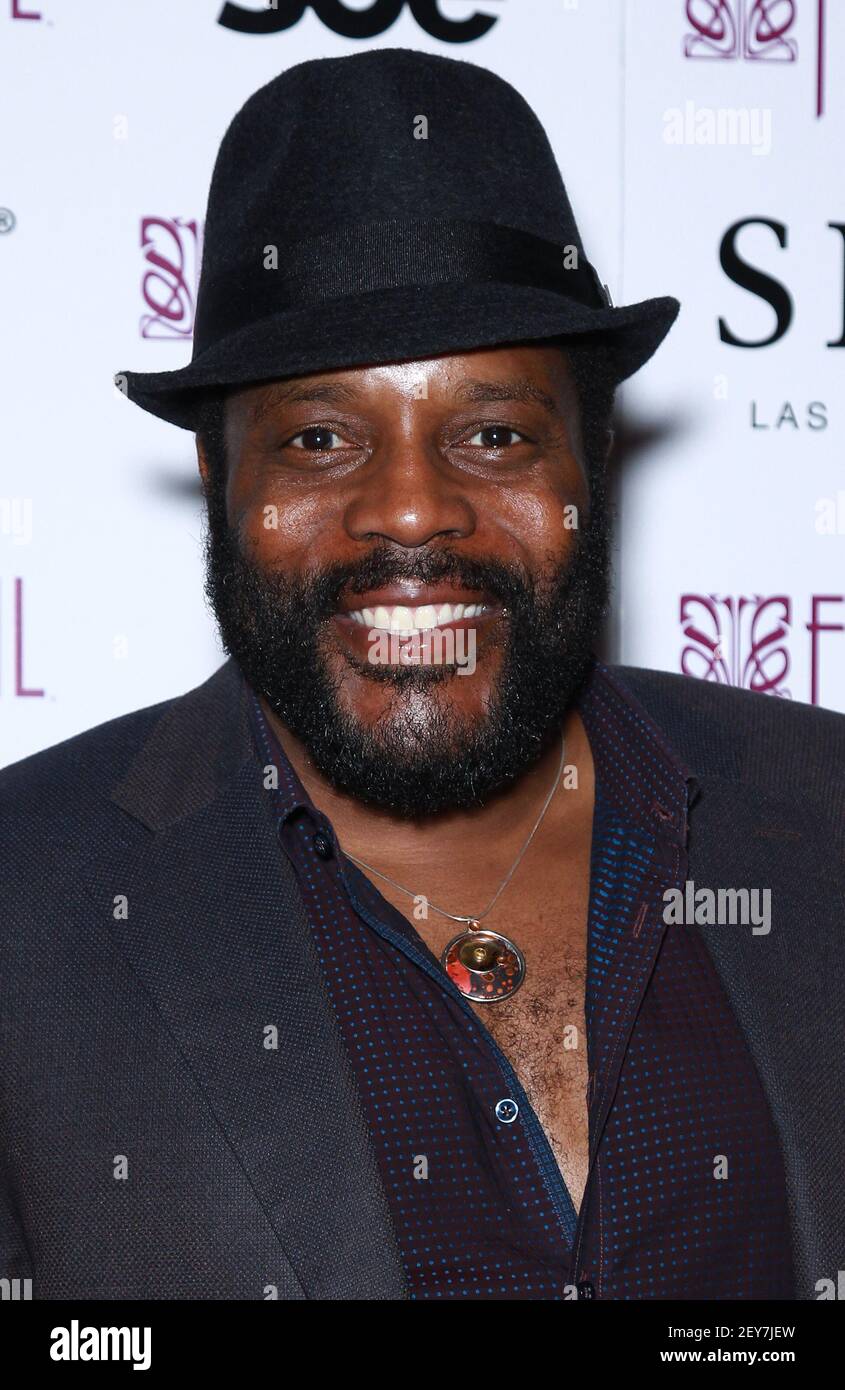 31 December 2013 - Las Vegas, Nevada - Chad Coleman. Robin Thicke ...