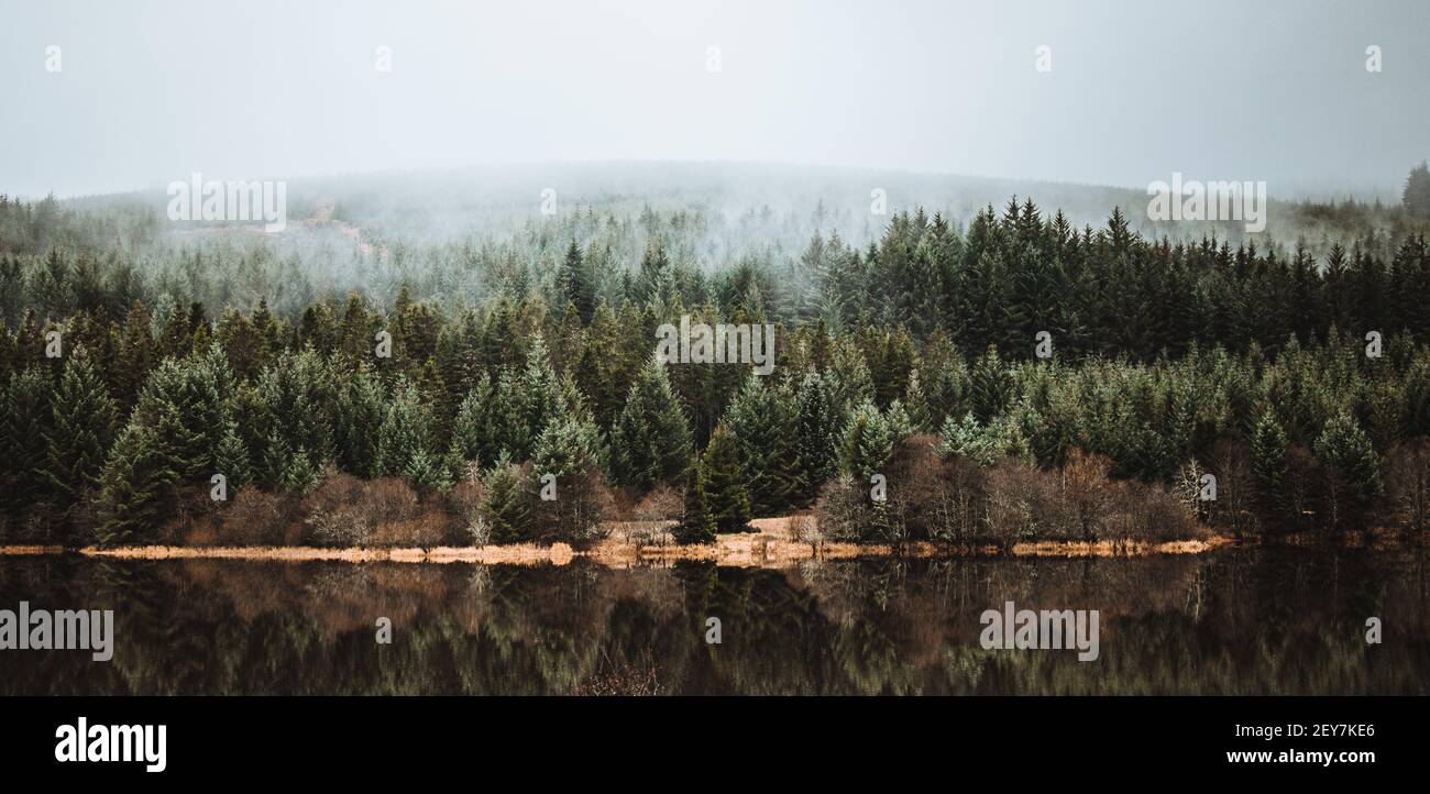 Kielder reservoir hi-res stock photography and images - Alamy