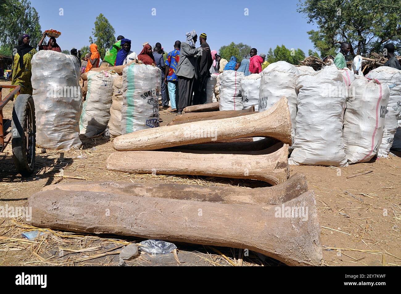 Sodium Carbonate High Resolution Stock Photography and Images - Alamy