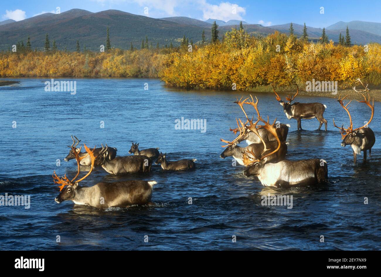 North America; United States; Alaska; Jade Mountains; Kobuk River ...
