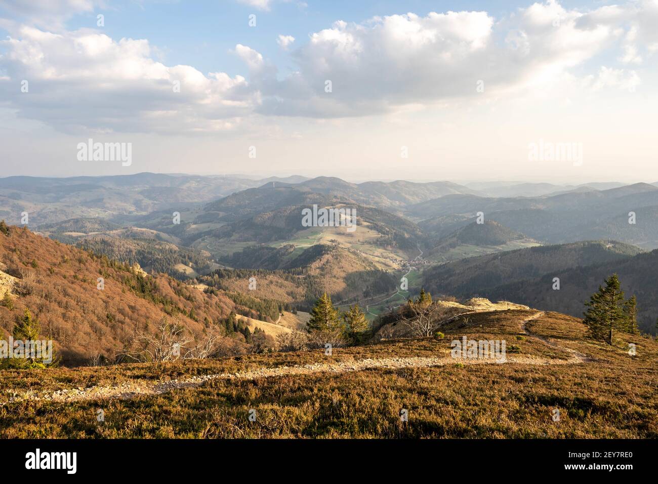 Belchen the most beautiful mountain of the black forest in germany ...