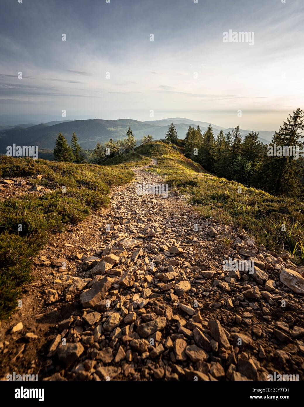Belchen the most beautiful mountain of the black forest in germany ...