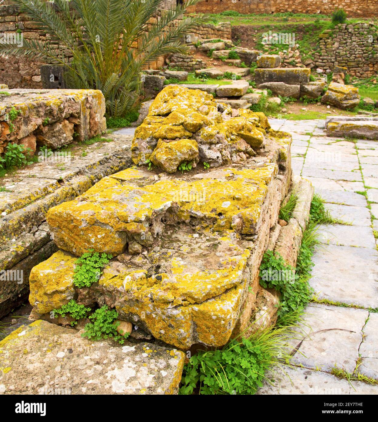 Chellah in morocco africa the old roman deteriorated monument and site ...