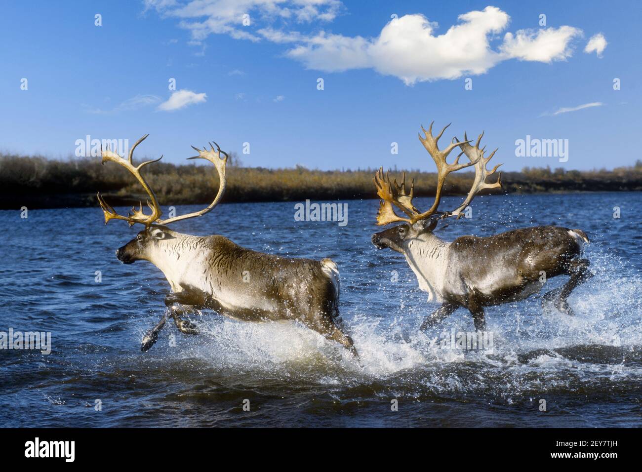 North America; United States; Alaska; Jade Mountains; Kobuk River ...