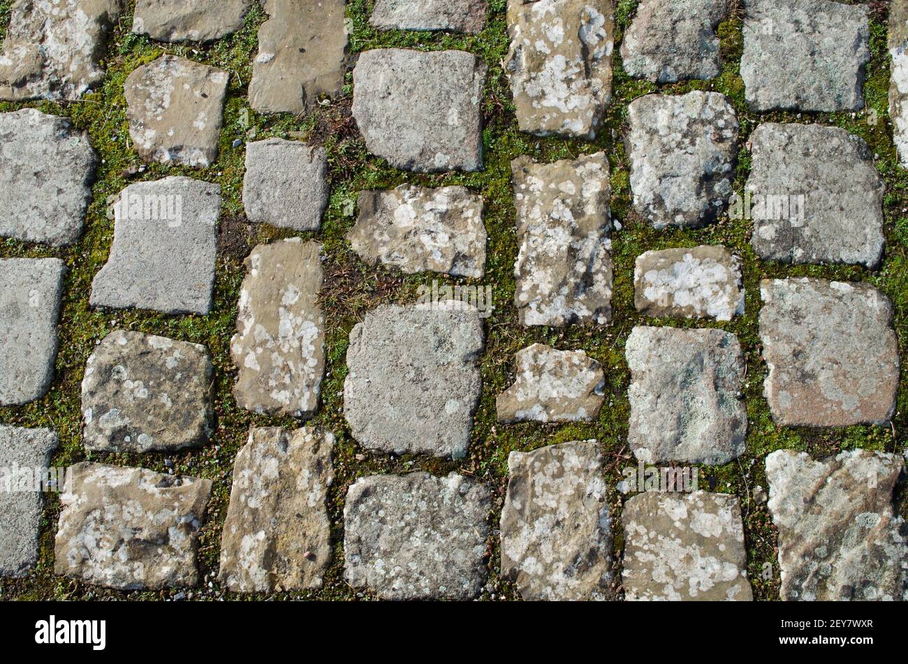 Rough cobblestone pavement moss texture hi-res stock photography and ...