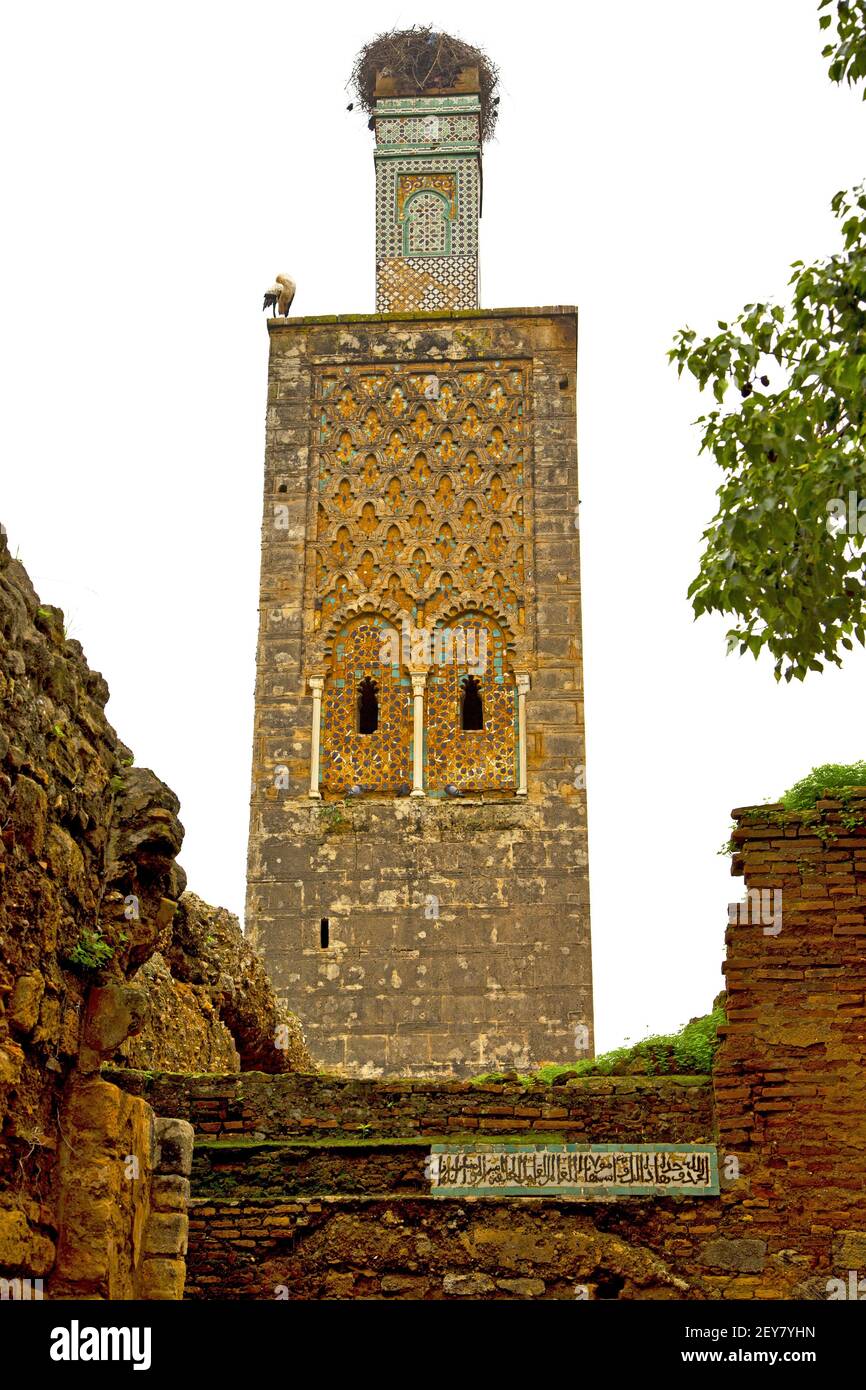 The chellah in morocco africa and site Stock Photo - Alamy