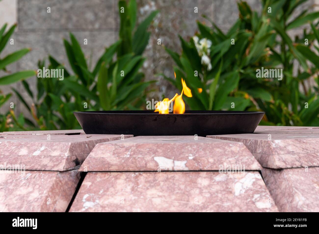 Flame square hi-res stock photography and images - Alamy