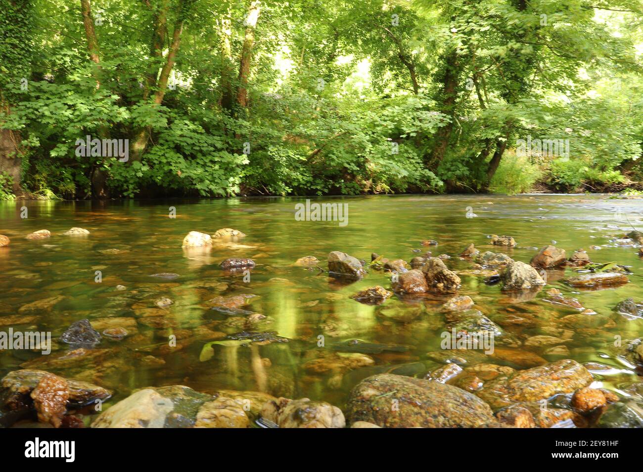 Clear waters of a Cornish stream showing the muddy brown stones ...