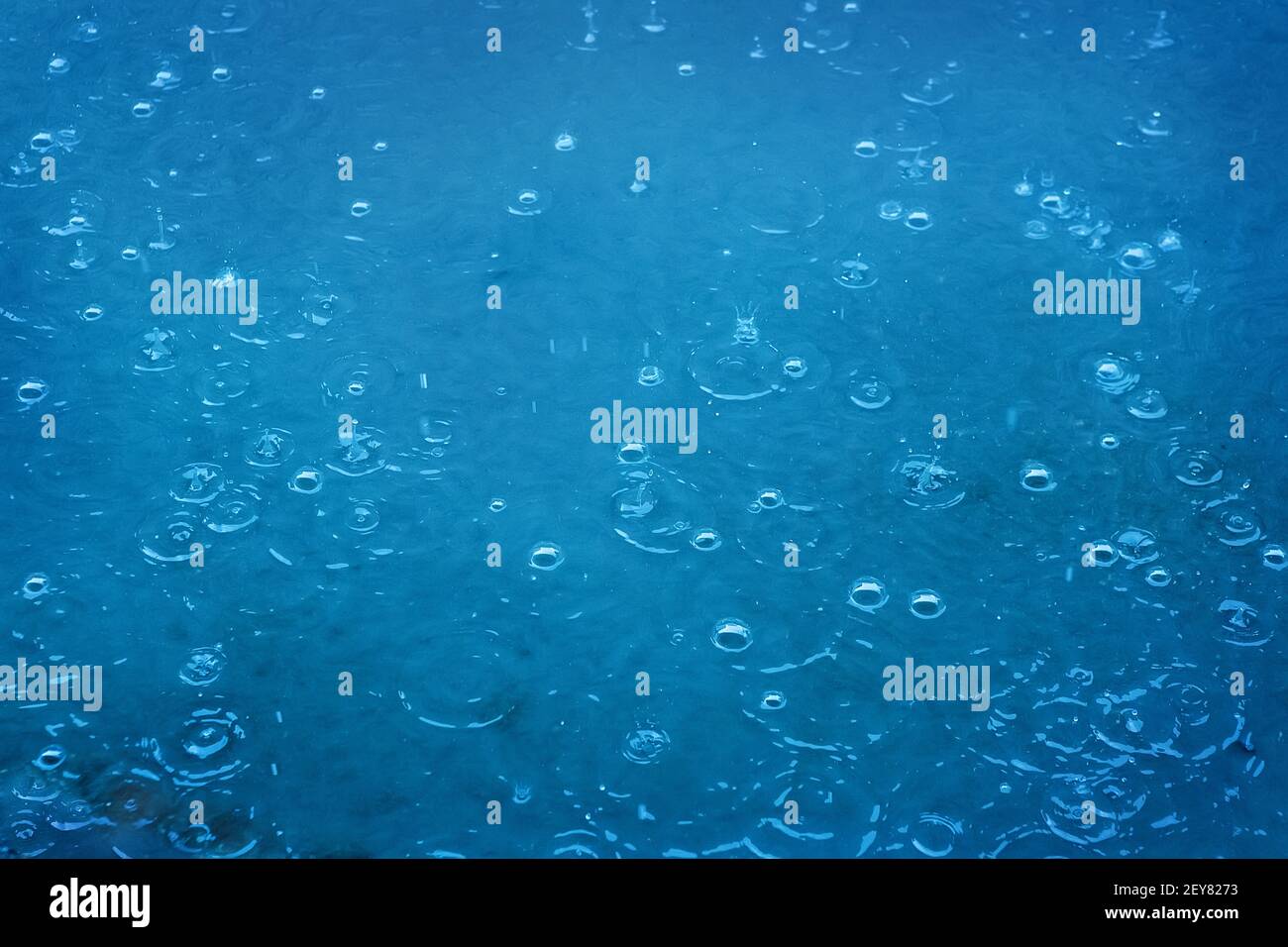 rain drops falling in pool on asphalt Stock Photo - Alamy