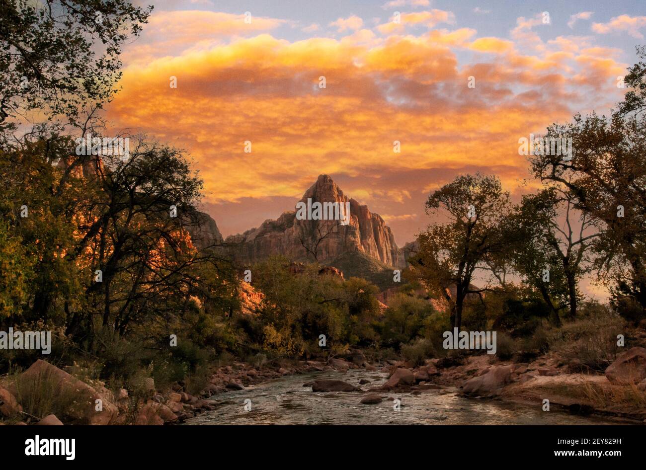 Desert Fall Colors High Resolution Stock Photography and Images - Alamy