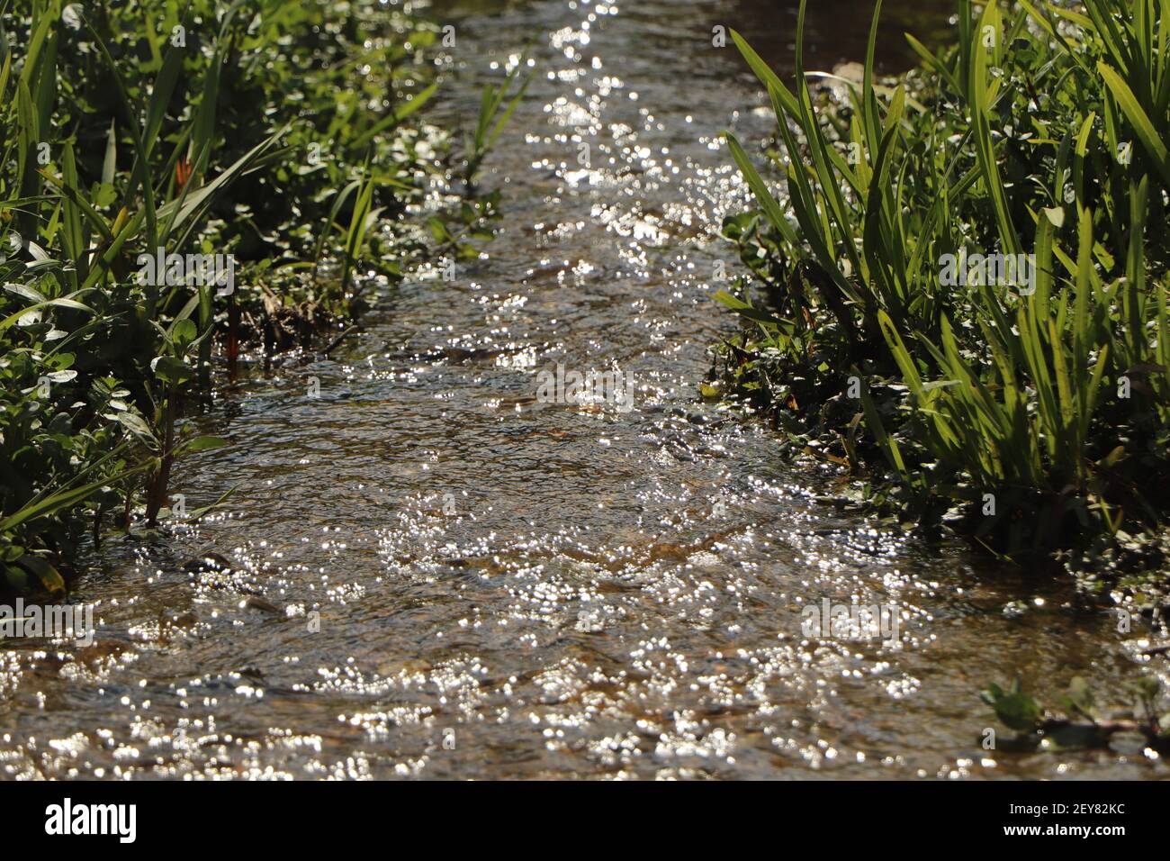Ground level close up of mud and water sloshing down a stream Stock ...