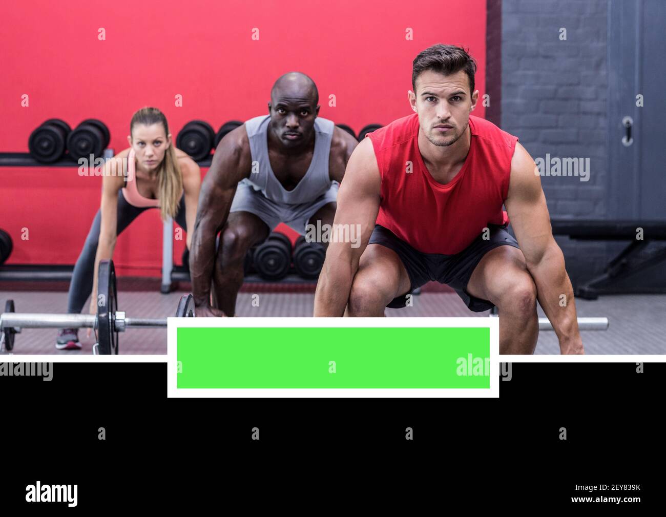 People lifting weight exercising in gym with copy space on green and ...