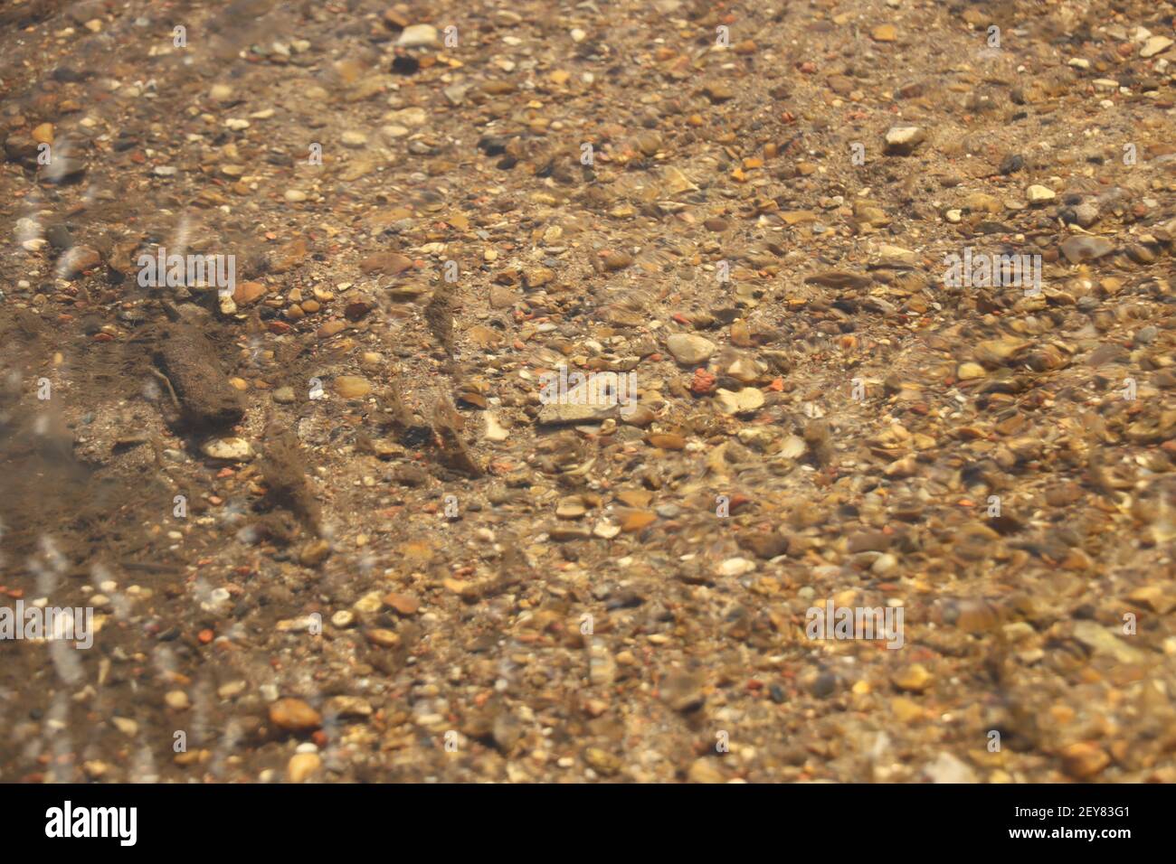 Ground level close up of mud and water sloshing down a stream Stock ...