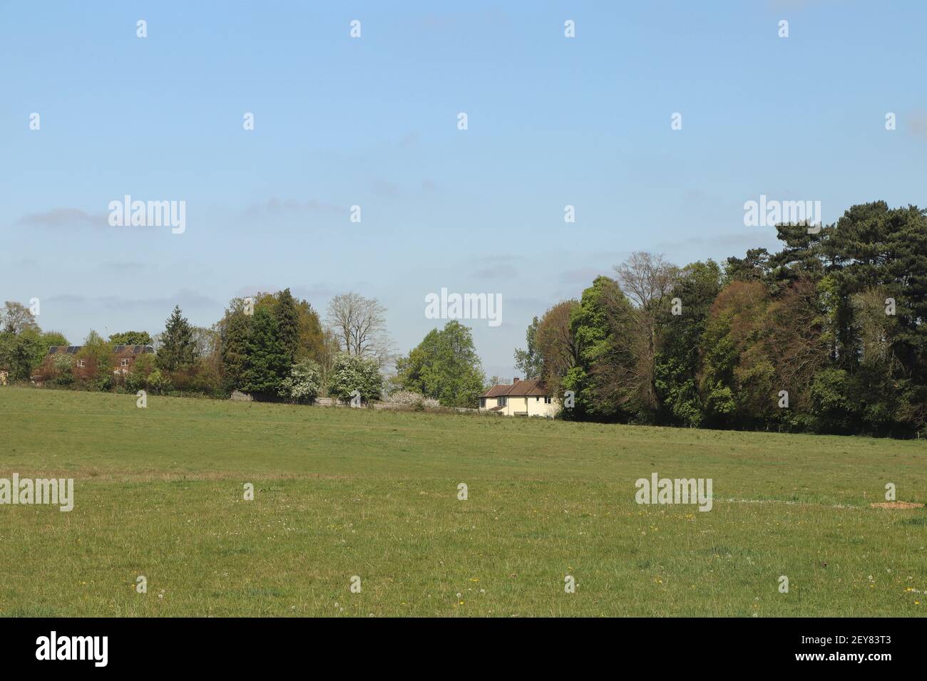 Panoramic view across a wide meadow in Spring in Hertfordshire Stock ...