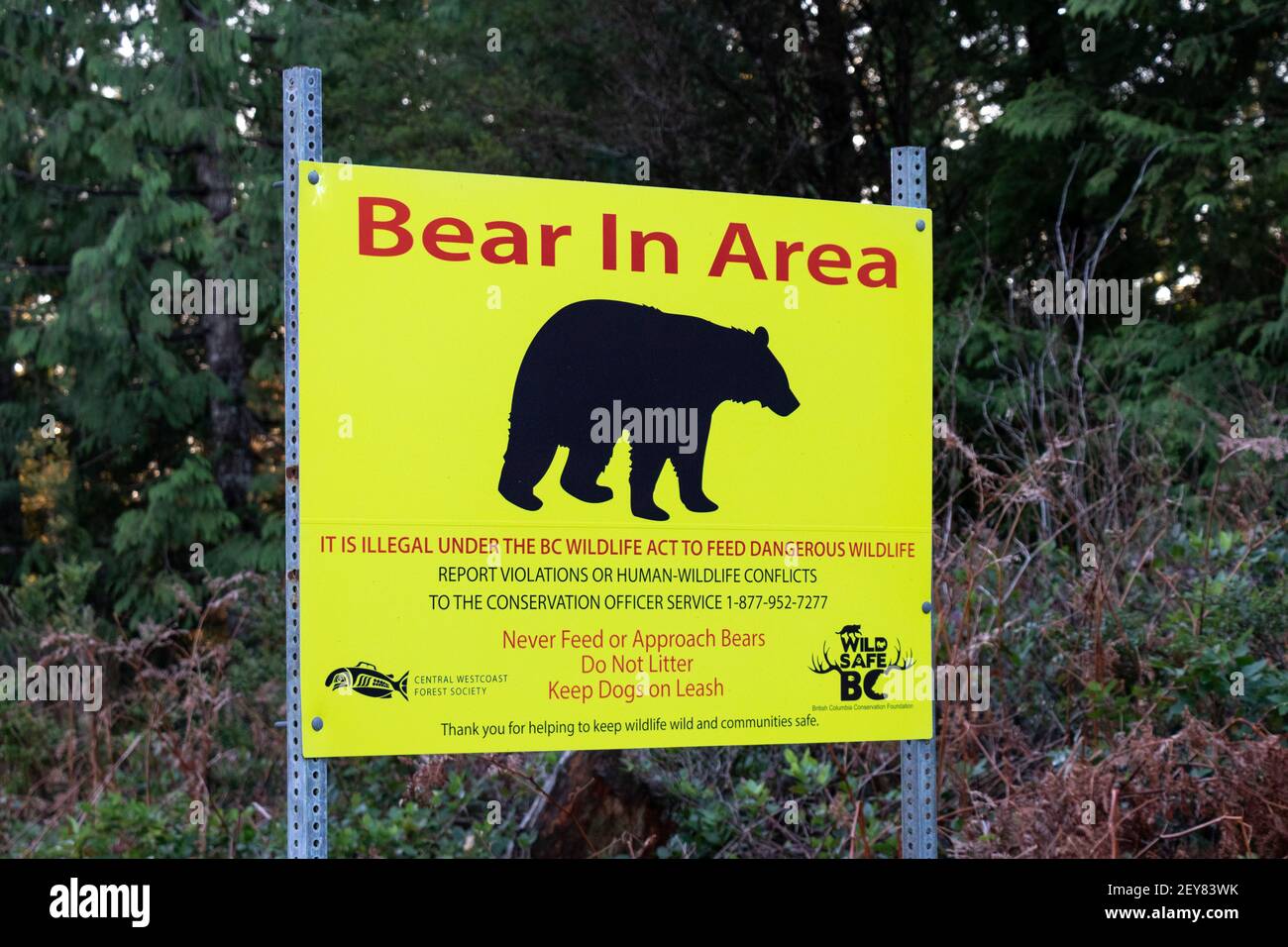 Bear sign canada road hi-res stock photography and images - Alamy