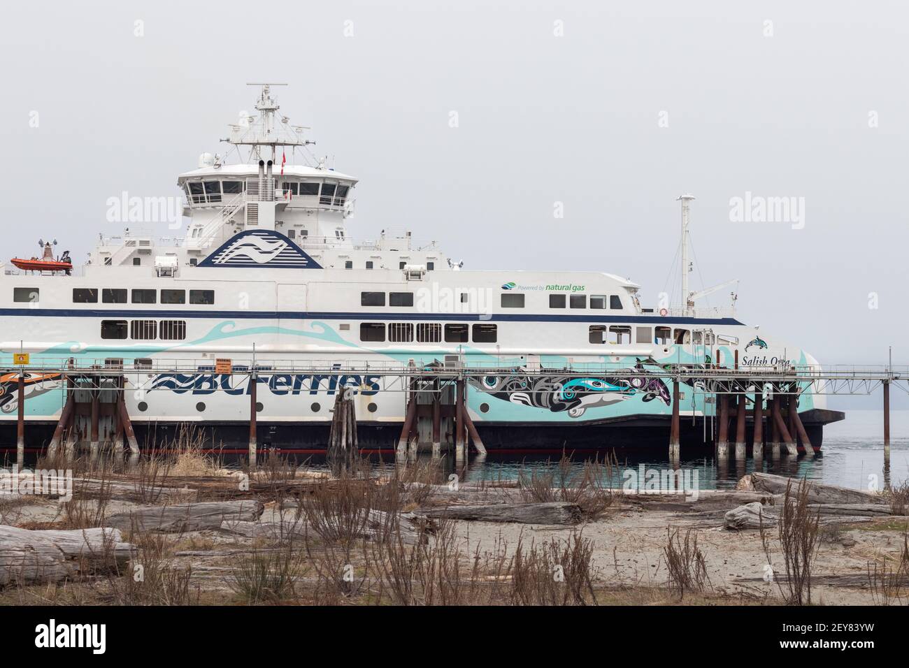 Little river terminal hi-res stock photography and images - Alamy