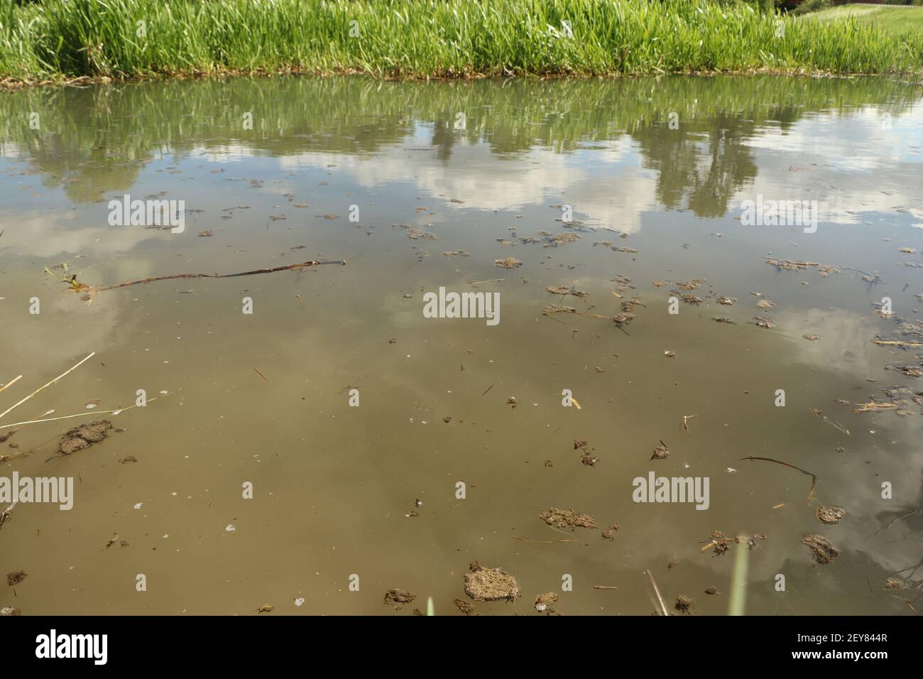 Ground level close up of mud and water sloshing down a stream Stock ...