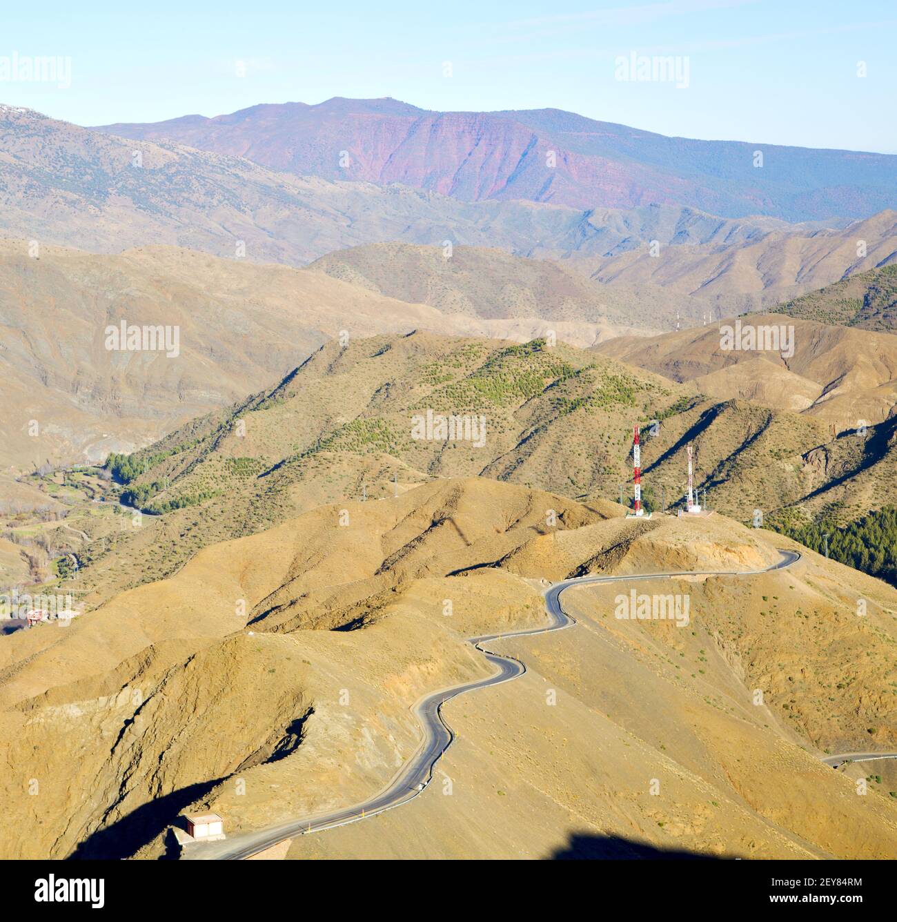 In ground africa morocco the bush dry atlas mountain Stock Photo - Alamy