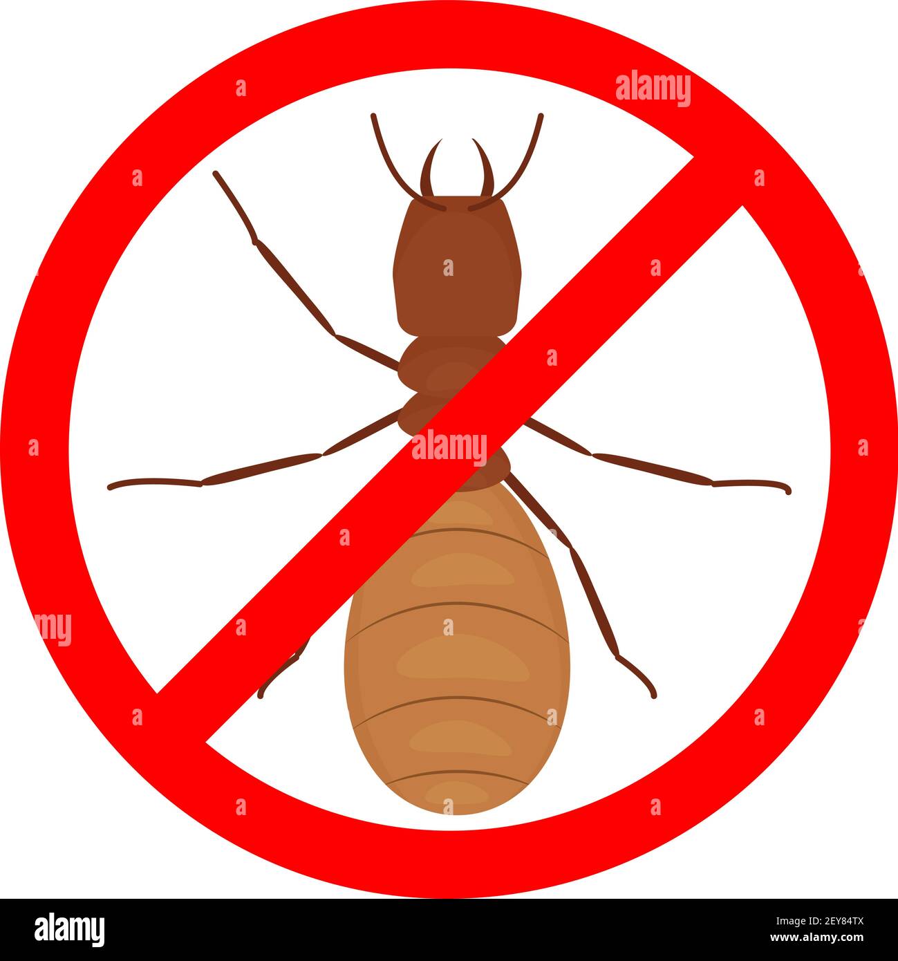 Cartoon termites isolated on white background, insect wood pest. Vector ...