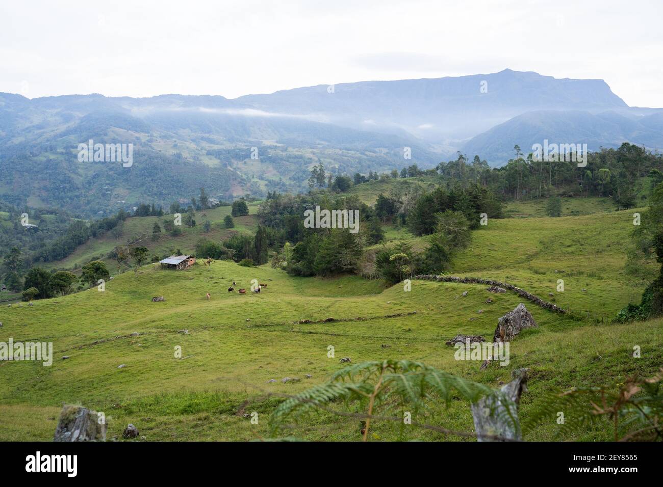 Typical landscape of Guayabal, Chinavita, Boyacá, Colombia Stock Photo ...