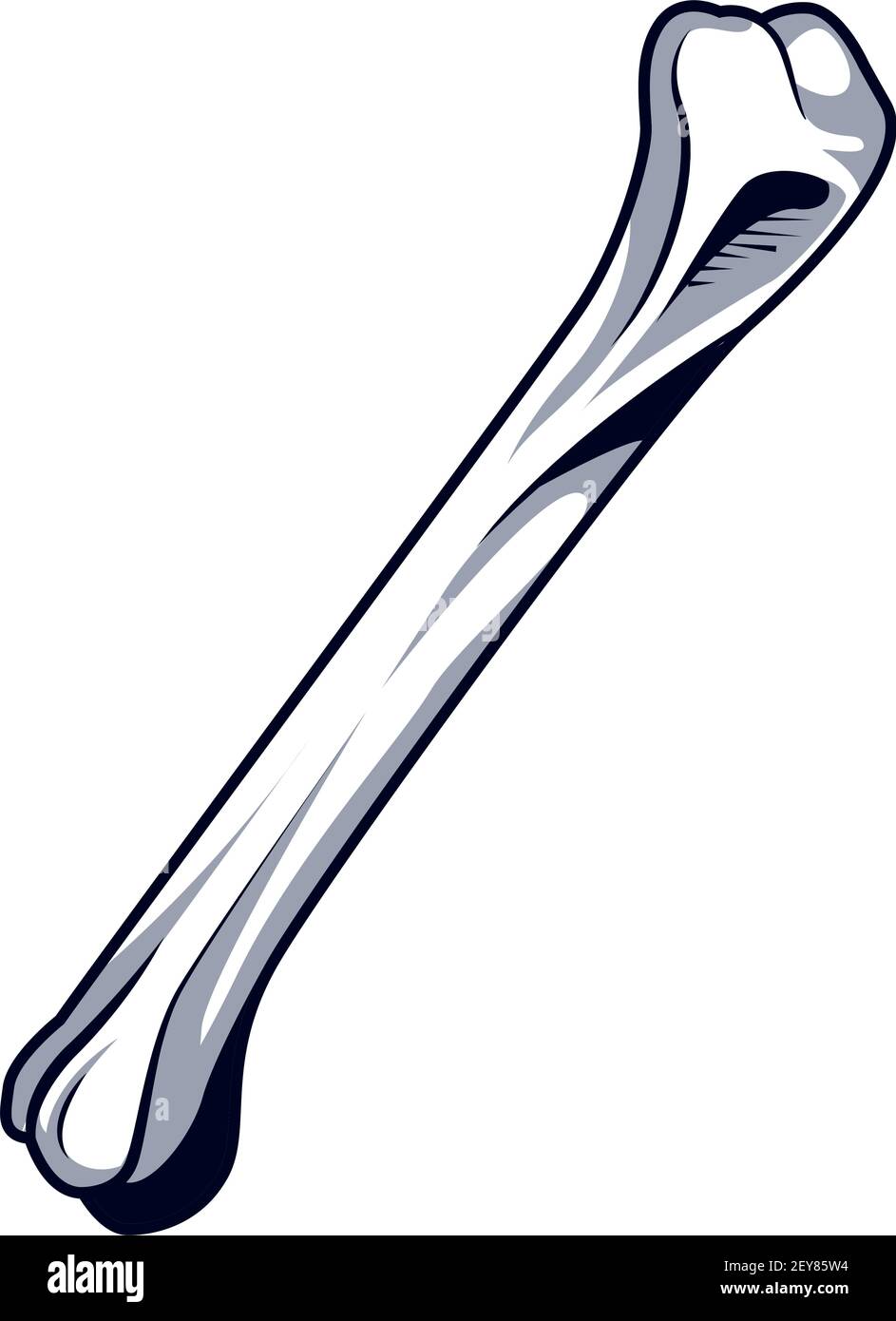 skeleton bone drawn Stock Vector Image & Art - Alamy