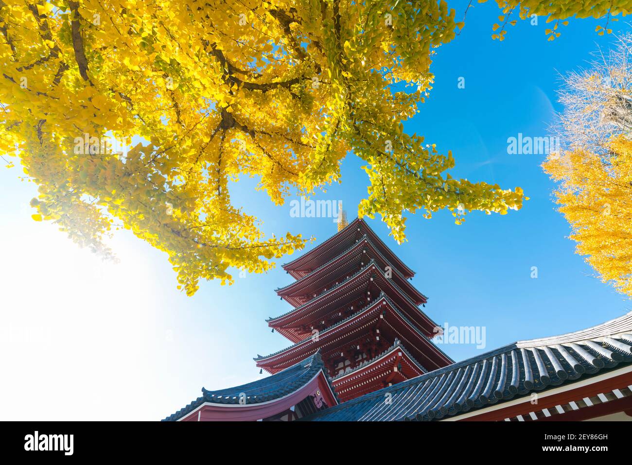 Sensoji temple and the sky tree tower hi-res stock photography and ...