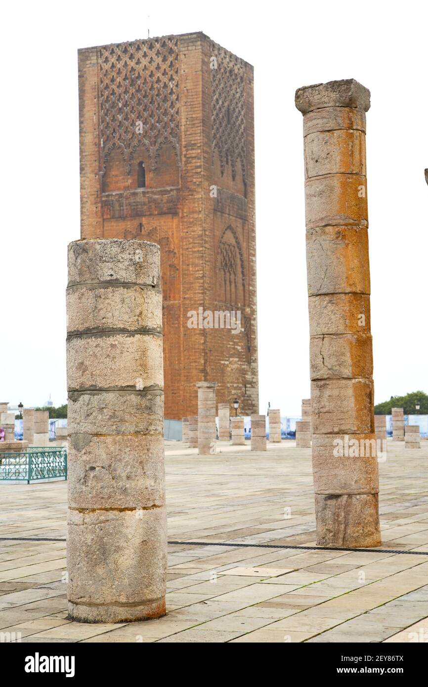 The chellah in morocco africa Stock Photo - Alamy