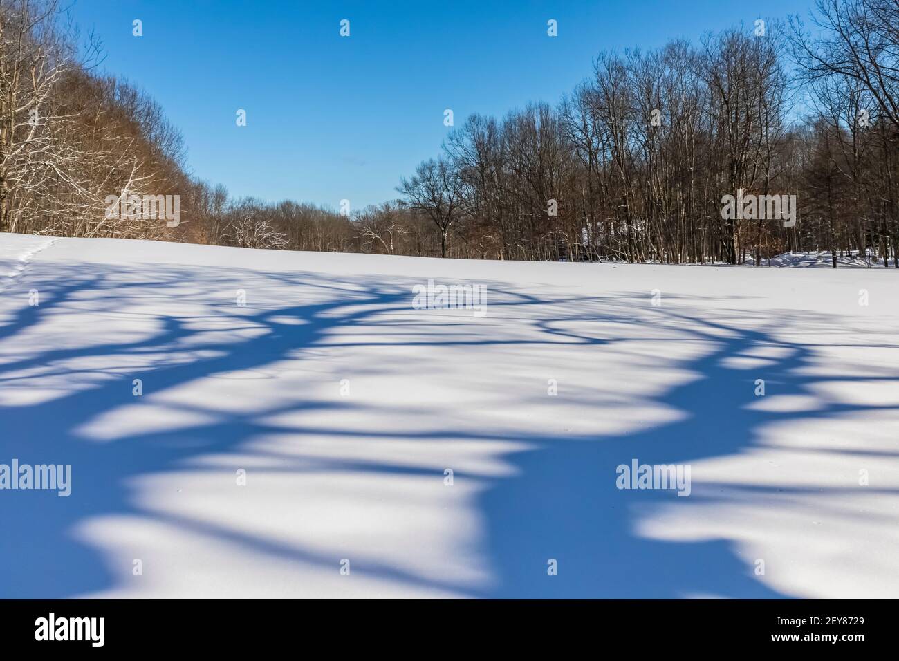 Sun casting shadows on snow hi-res stock photography and images - Alamy