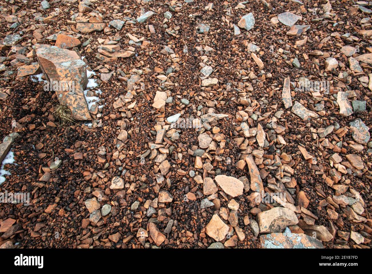 patterned ground on the slopes of Tinto Hill in Lanarkshire, Scotland ...