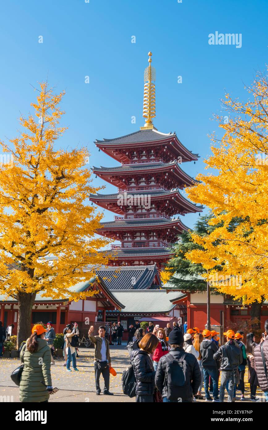 The Five-Storied Pagoda stand at Sensoji Temple Asakusa Tokyo Japan ...