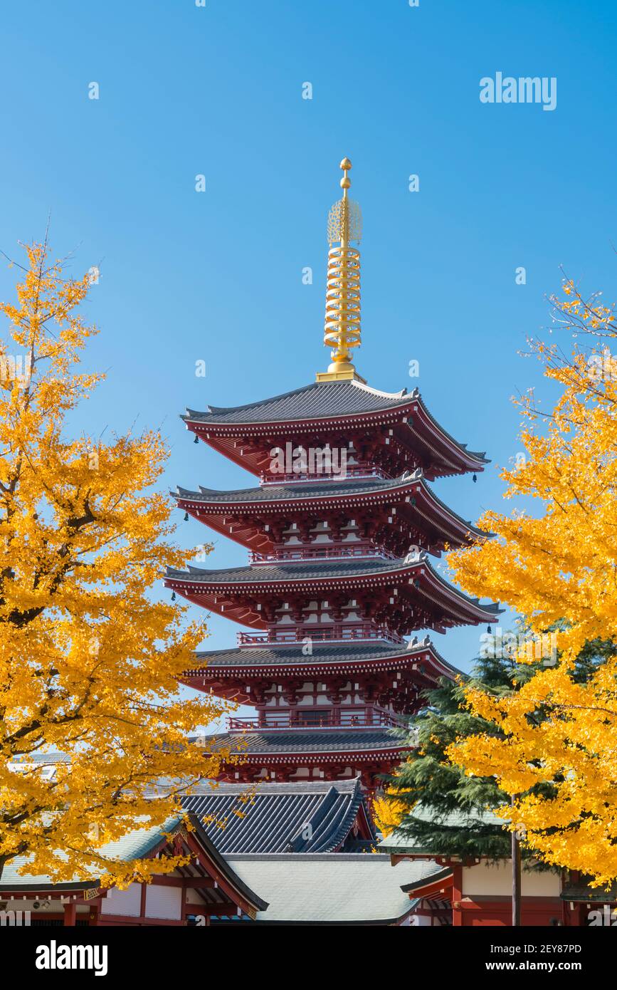 The Five-Storied Pagoda stand at Sensoji Temple Asakusa Tokyo Japan ...