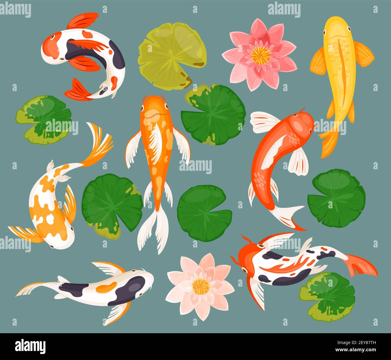 Koi Fish Set - munimoro.gob.pe