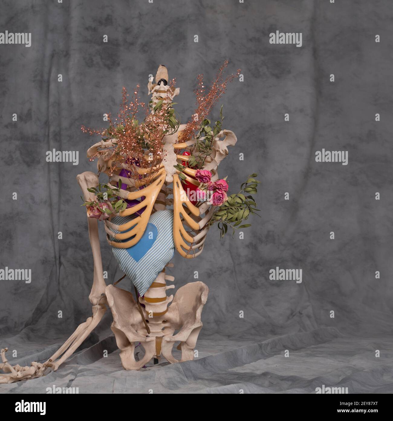 Human skeleton on a gray background with flowers inside, a concept of a ...