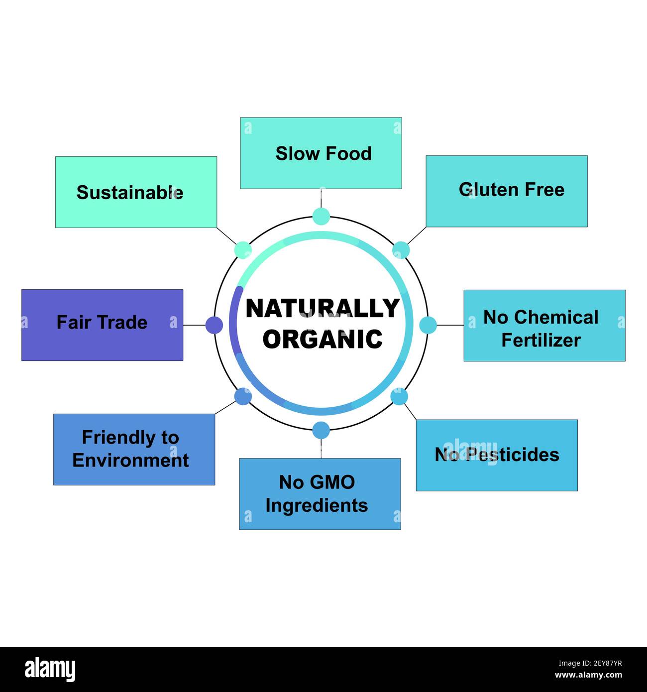 Diagram concept with Naturally Organic text and keywords. EPS 10 ...