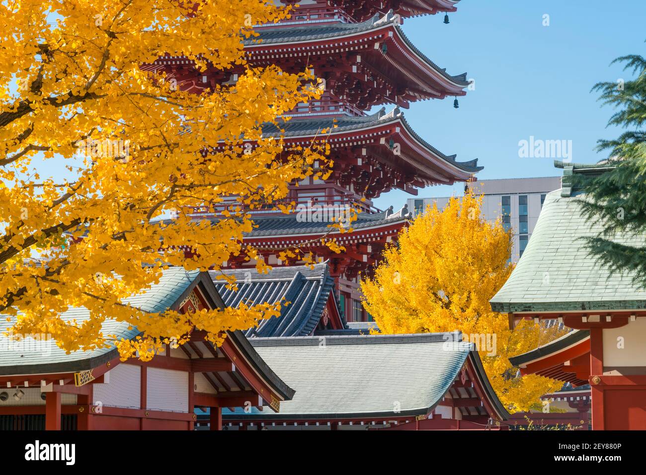 The Five-Storied Pagoda stand at Sensoji Temple Asakusa Tokyo Japan ...