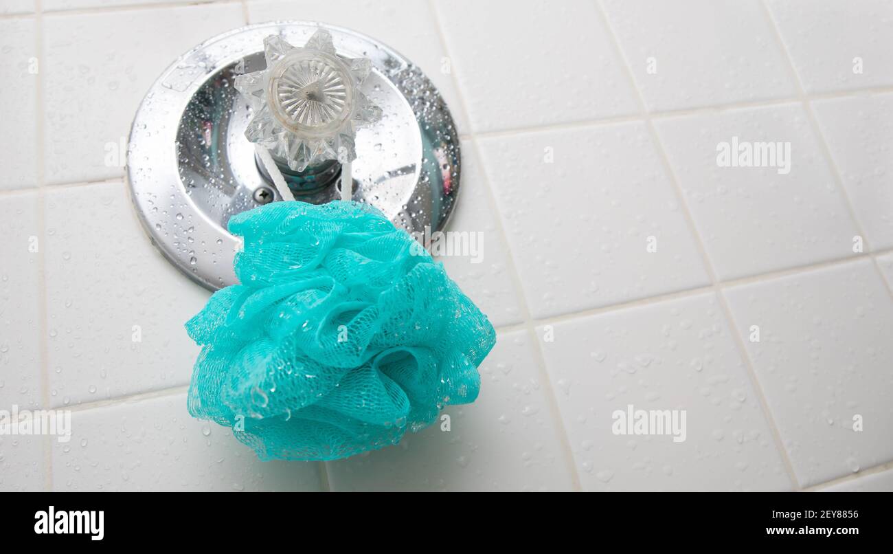 A blue loofah sponge hanging in a wet shower on the temperature guage ...