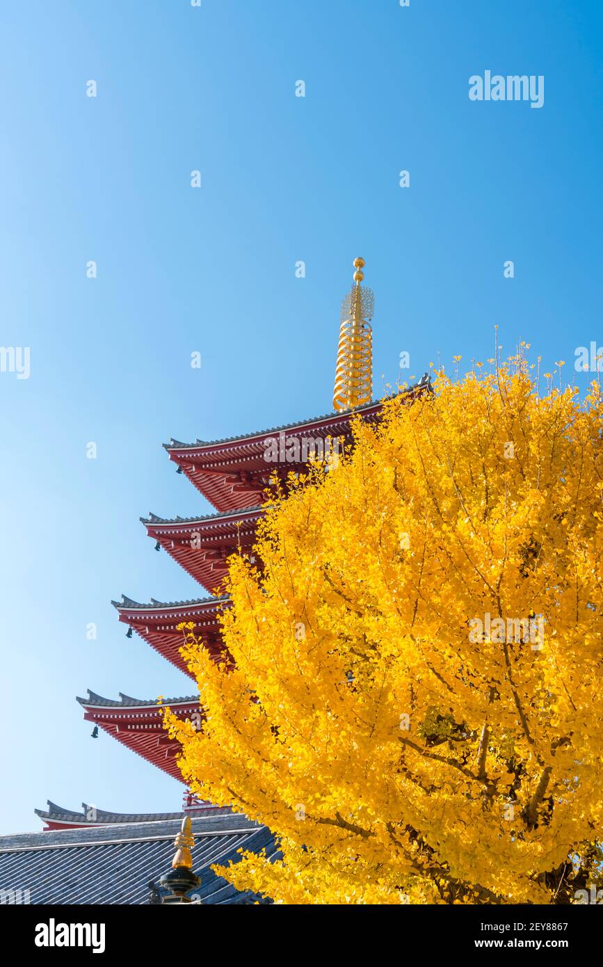 The Five-Storied Pagoda stand at Sensoji Temple Asakusa Tokyo Japan ...