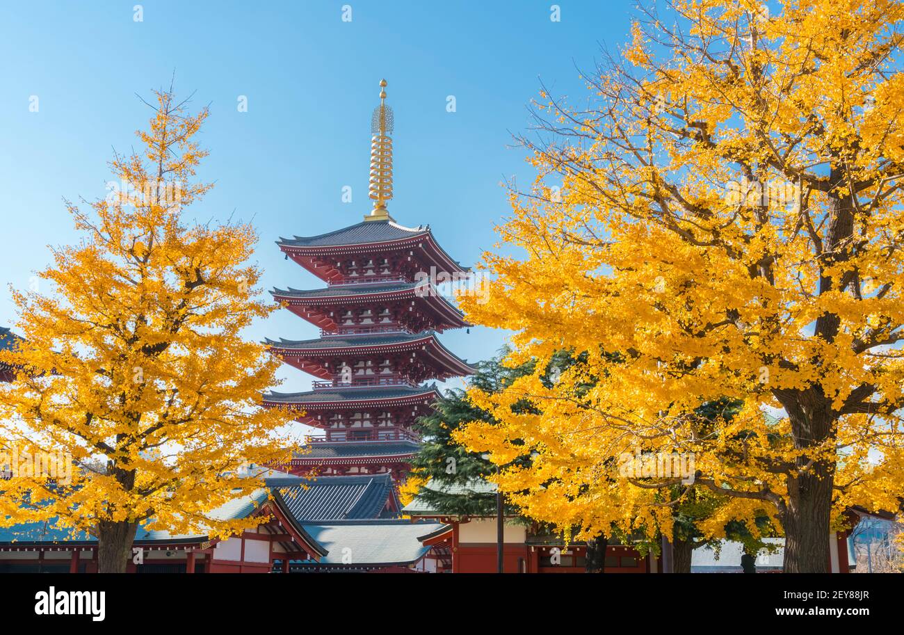The Five-Storied Pagoda stand at Sensoji Temple Asakusa Tokyo Japan ...