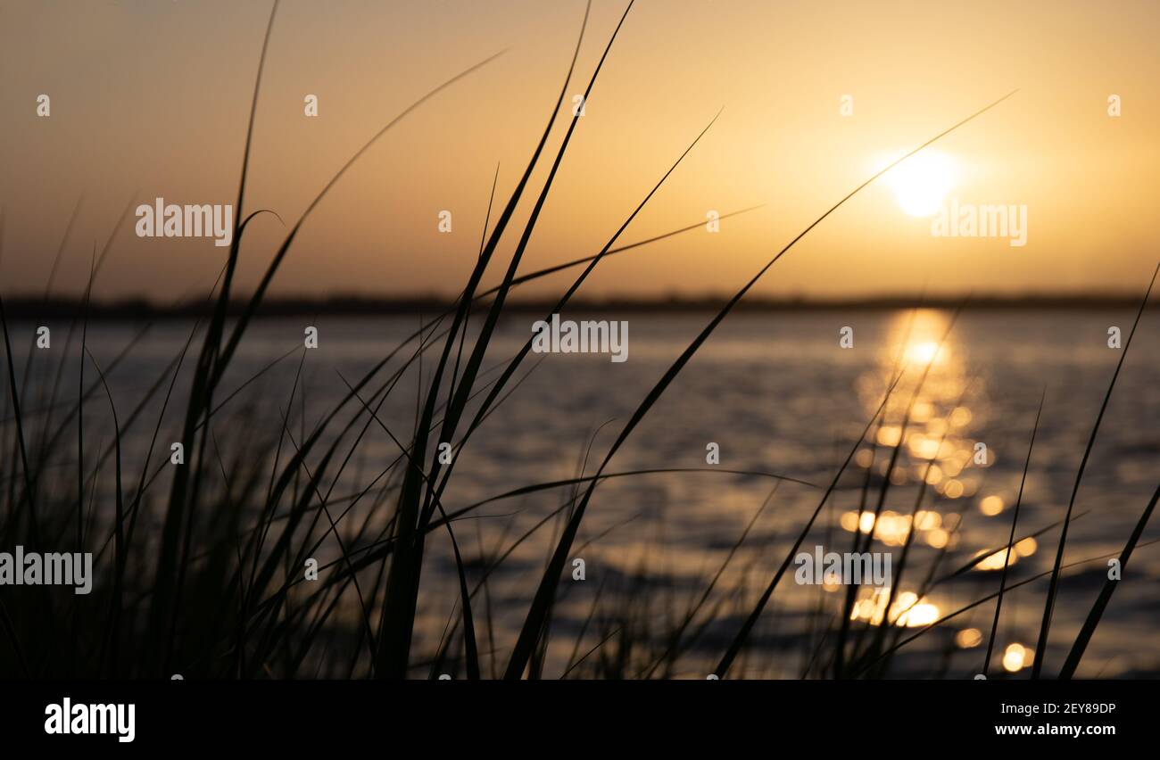 Clouds looking through grass hi-res stock photography and images - Alamy