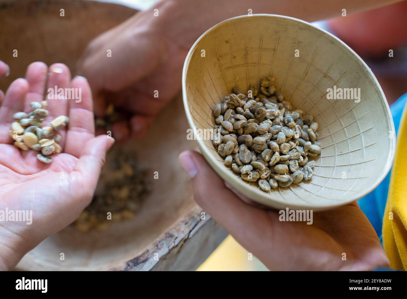 Artisanal hulling of coffee in a mortar, Filandia, Quindío, Colombia ...