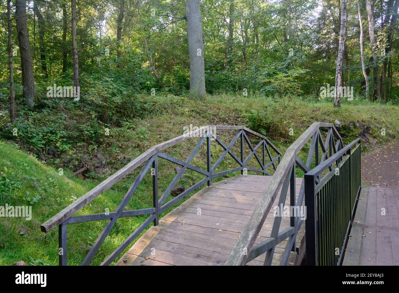 Wooden arched bridge over stream for pedestrians in forest among large ...