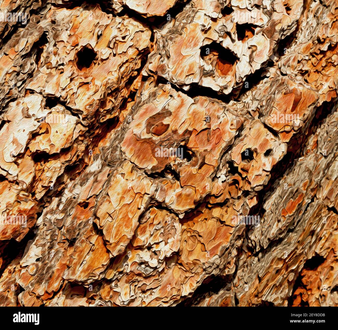 Barck in the abstract close up of a tree color and texture Stock Photo ...